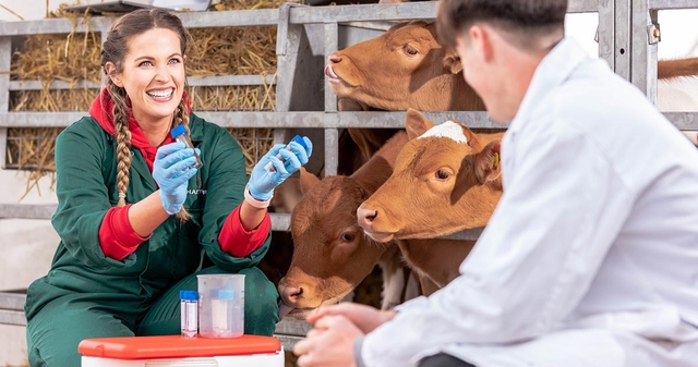 Hartpury research aims to inform dairy industry best practice