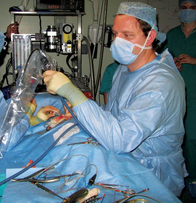 Treatment of otitis externa, media and interna in rabbits