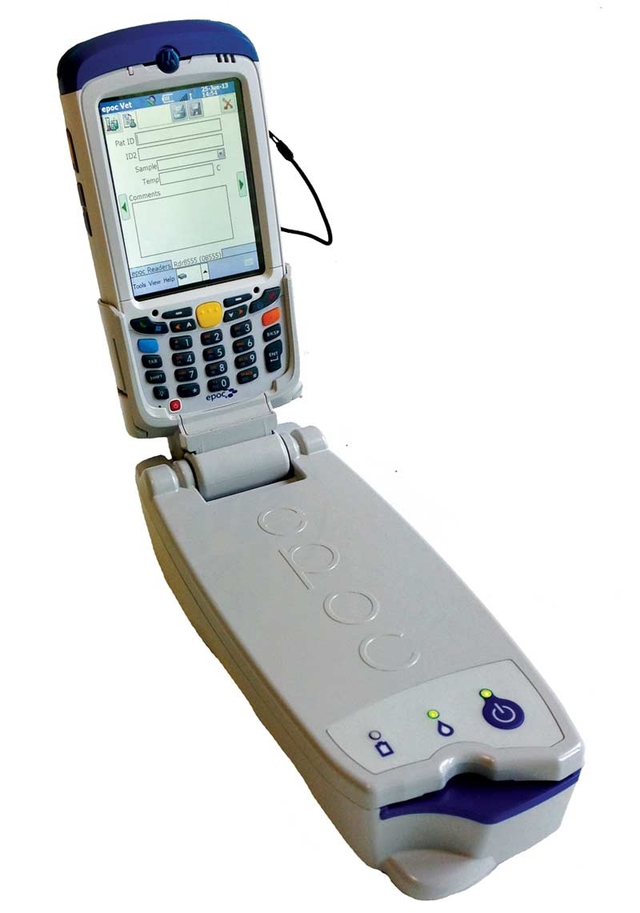 Usefulness of lactate measurement in practice