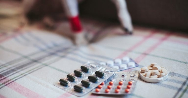 RCVS allows remote prescribing of POM-Vs