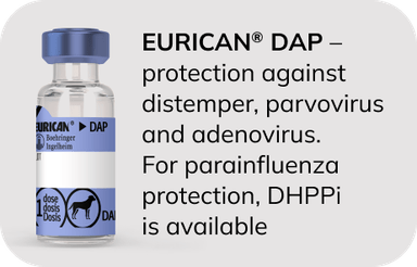 Eurican